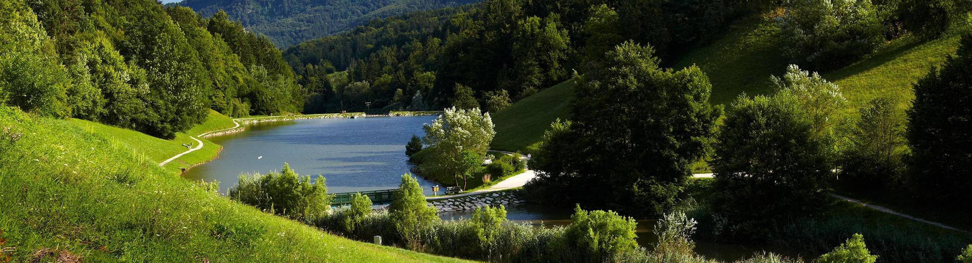 Občina Zreče